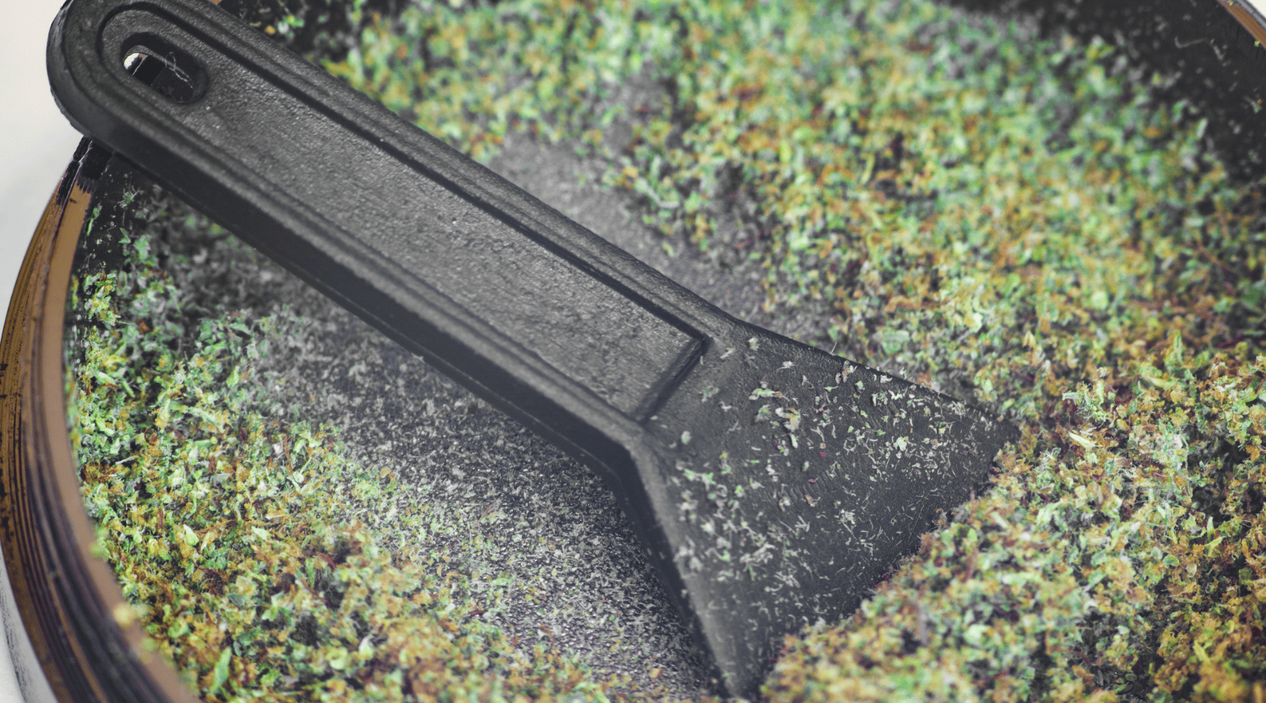 What is Kief? How to Collect and Use this Potent Cannabis Substance ...